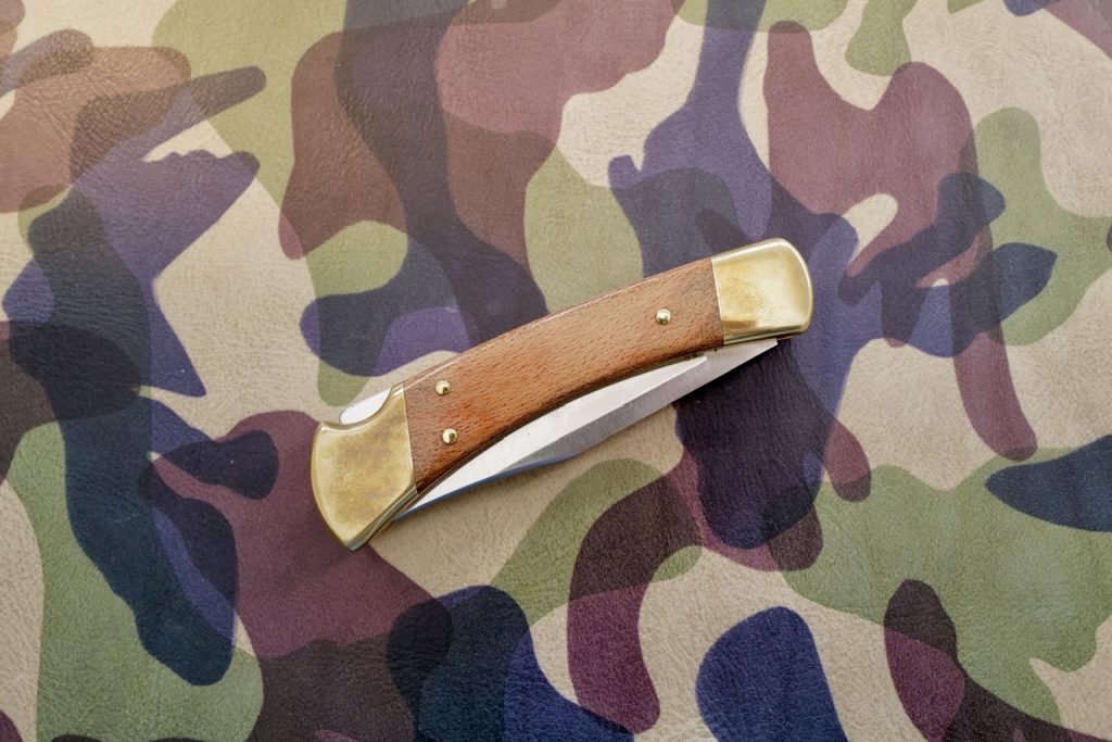 Buck 110 Magnacut – The Brooks Review